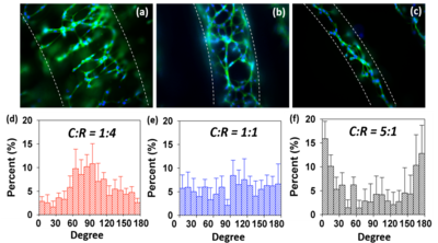 3D cells Assembly for tissue engineering